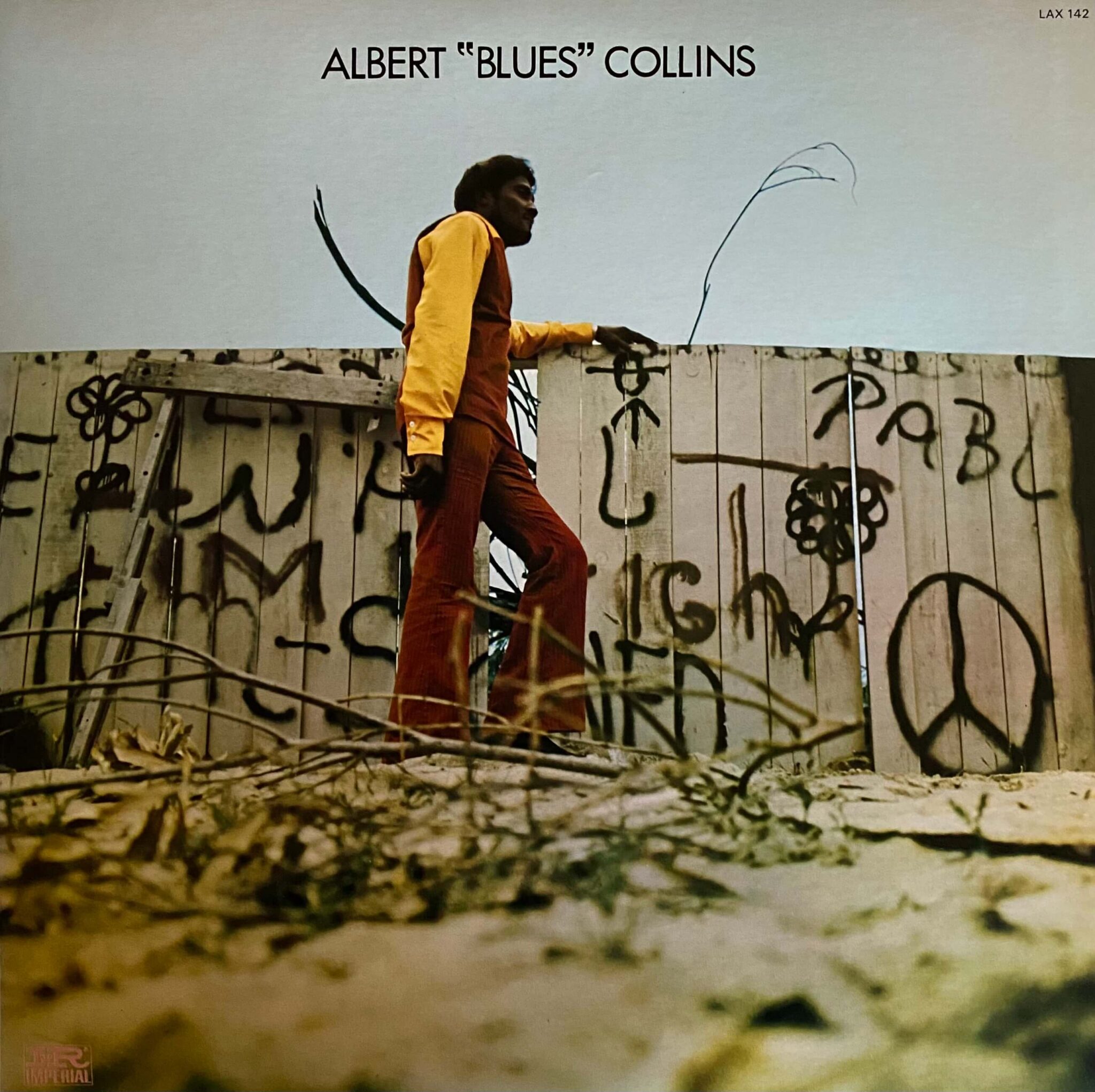 オススメBLUES紹介Vo2：「アルバート・コリンズ」 - DAIEIRECORD